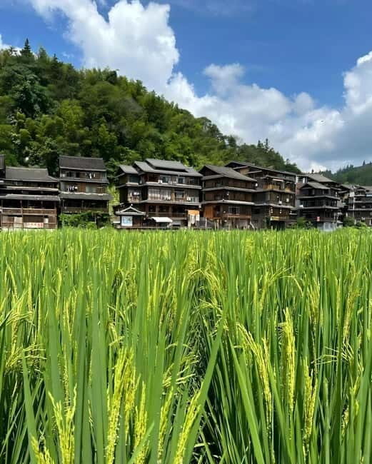 Liuzhou: 2-Day Dong Heritage Tour - Breaking Down the Itinerary: What to Expect