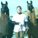 Llama Trek (Half-day) - Kaikoura Bay, Beaches & Seal Colony - Who Will Appreciate This Tour?