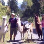 Llama Trek (Taster) - Kowhai River Valley and Native Woodland Tour - Why This Tour Offers Good Value