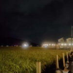 Local Fireworks Seat and Guide in Yokote, Akita - An Authentic, Intimate Fireworks Night