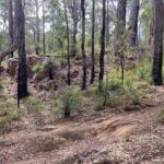 Local Gems 3 Hour MTB Small Group Tour - What Travelers Say