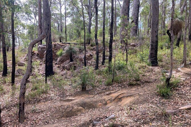 Local Gems 3 Hour MTB Small Group Tour - What Travelers Say