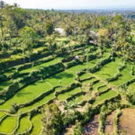 Lombok: Culture, Rice Terrace, and Waterfall Full-Day Tour - An In-Depth Look at the Full-Day Tour