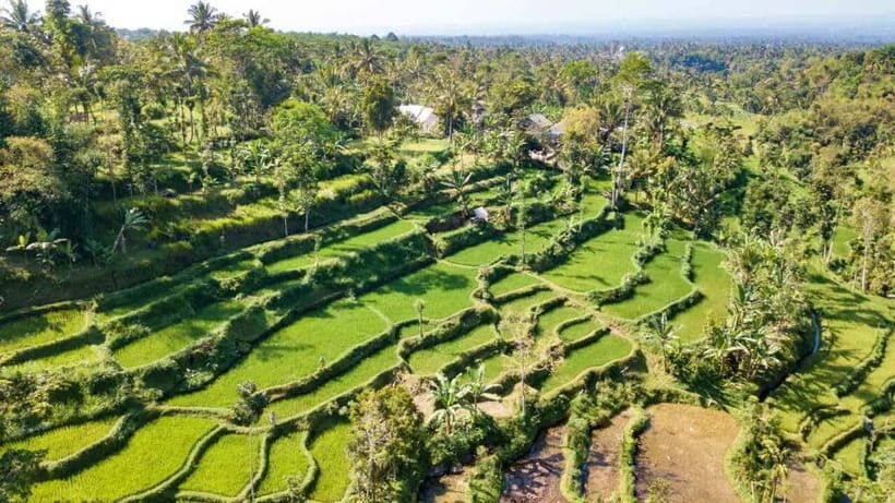 Lombok: Culture, Rice Terrace, and Waterfall Full-Day Tour - An In-Depth Look at the Full-Day Tour