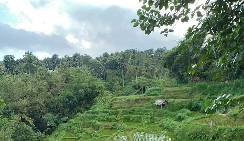 Lombok: Hiking Tour to Tete Batu Village - Transportation & Practicalities
