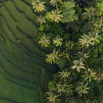 Lombok : Self-Drive Car Rental  Easy Verification - What the Experience Looks Like