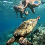 Lombok Snorkeling to Gili Nanggu, Tangkong, Sudak and Kedis - Final Thoughts