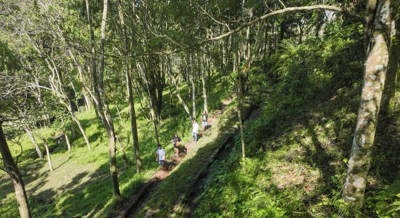 Lombok: Tetebatu Walk, Waterfall, Monkey Forest & Cooking - An In-Depth Look at the Tetebatu Tour