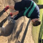 Lone Pine and Brisbane City Highlights - What Makes This Tour Stand Out