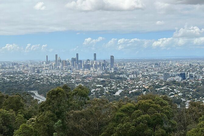 Lone Pine, Brisbane Highlights and Lunch! - Getting Underneath and Over Brisbane’s Iconic Structures