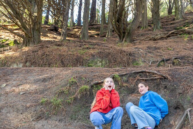Lord of the Rings 1/2 day Tour to rule them all incl. Weta Tour - What Makes This Tour Stand Out?