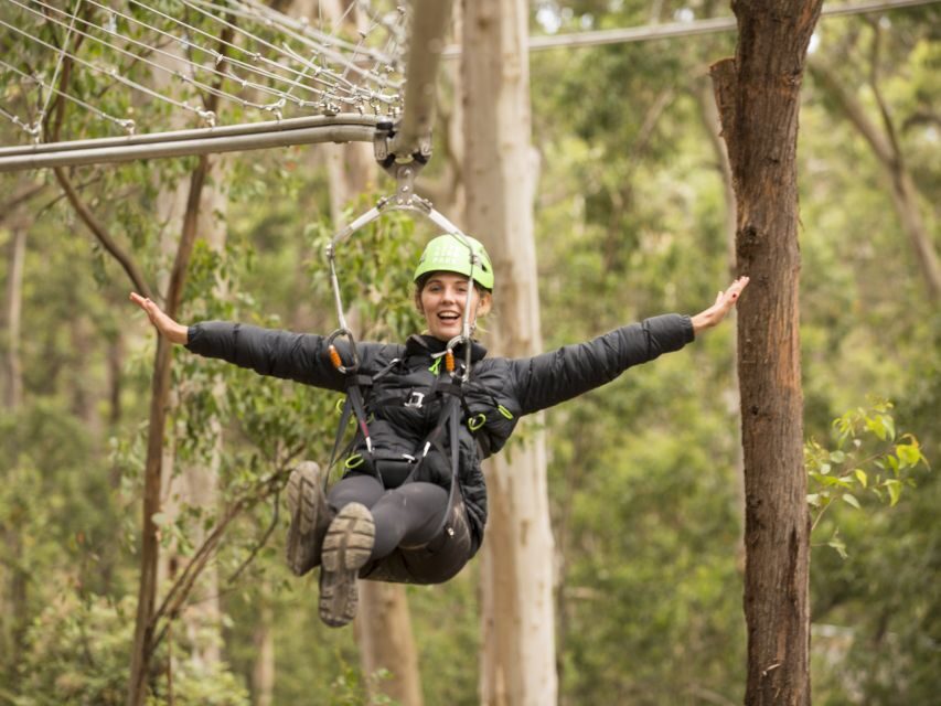 Lorne: Live Wire Park Ticket with Zip Line Rollercoaster - Who Should Consider This Experience?