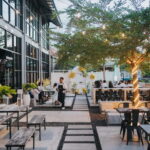 Lovina: Dolphin-Themed Brunch with Ocean Visuals & Music - What Makes It Unique and Worth Considering