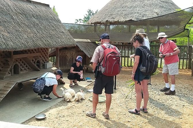 Luang Prabang City, Buffalo Dairy Farm and Kuangsi Falls - 1 Day Private Tour - Final Thoughts: Who Will Love This Tour?