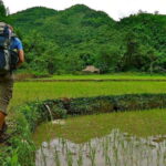 Luang Prabang Thin Pha Trail & Tad Sae Falls Trek - What Travelers Say