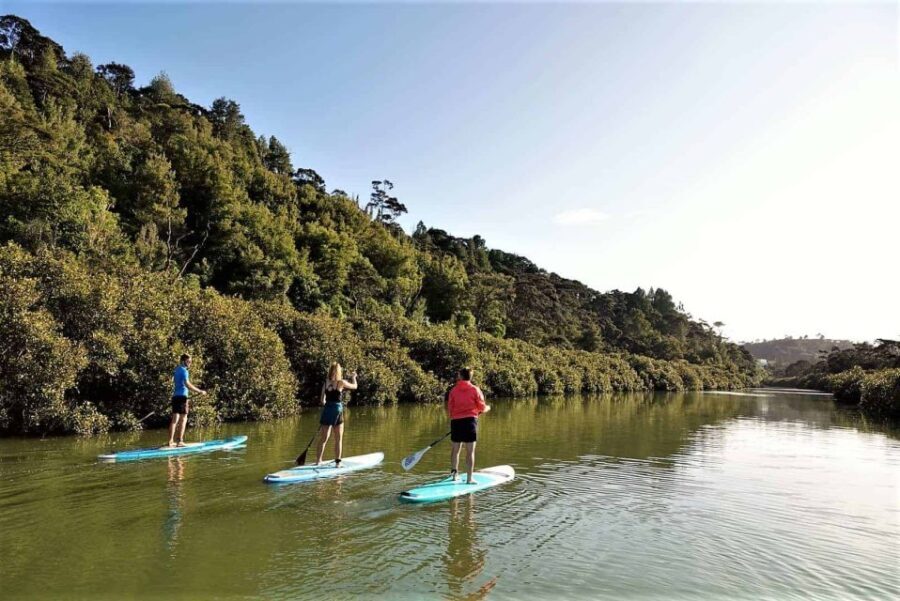 Lucas Creek Waterfall SuP Tour - Who Will Love the Lucas Creek Waterfall SuP Tour?