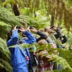 Luxe Bus Great Ocean Road Coastal Spectacular - The Itinerary and What Makes It Special