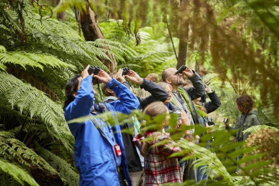 Luxe Bus Great Ocean Road Coastal Spectacular - The Itinerary and What Makes It Special