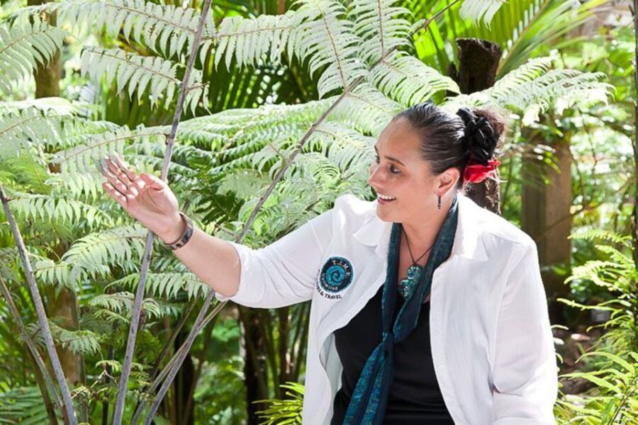 Luxury Auckland & West Coast Day Tour with Maori Guide - What the Reviews Say