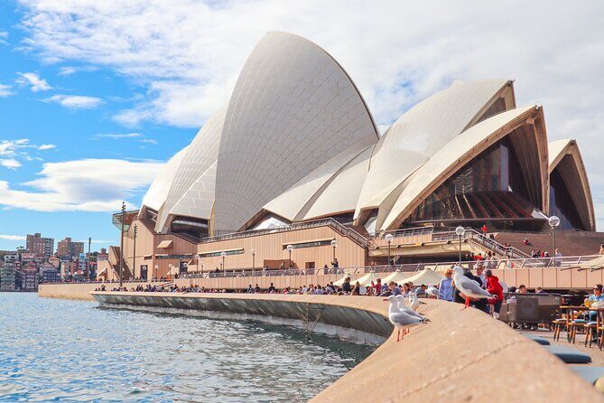 Luxury Boat and Car Tour Around Sydney - What This Tour Means for You