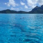 Luxury Full Day Snorkeling - What You Can Expect from the Experience
