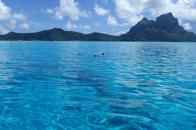 Luxury Full Day Snorkeling - What You Can Expect from the Experience
