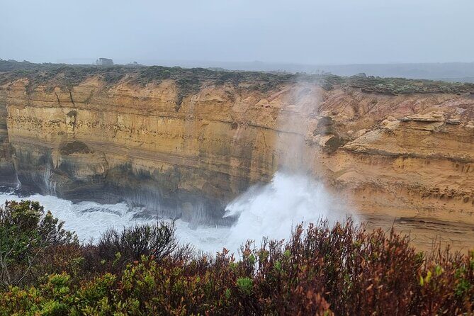 Luxury Great Ocean Road Tour Max 11 with Pickup Service - Why This Tour Offers Great Value