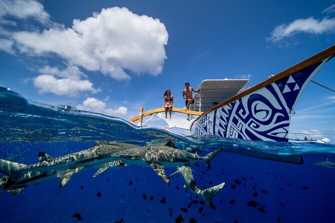 Luxury Private full day tour & Motu lunch in Bora-Bora - Who Should Consider This Tour?