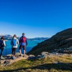 Luxury Private Guided Crater Rim Walk on Banks Peninsula - Why Travelers Rave About This Tour