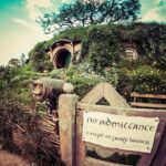 Luxury Small group tour from Auckland to Hobbiton Movie Set - What You Can Expect on This Day Trip