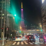Luxury Tokyo City Attractive Full Day Private Tour - Why This Tour Is a Good Choice