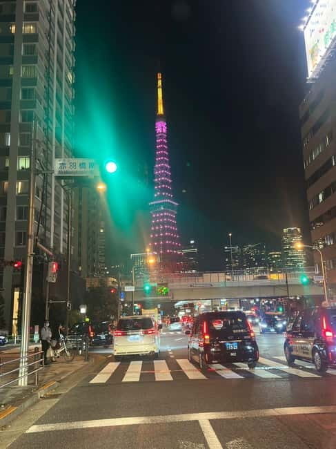 Luxury Tokyo City Attractive Full Day Private Tour - Why This Tour Is a Good Choice
