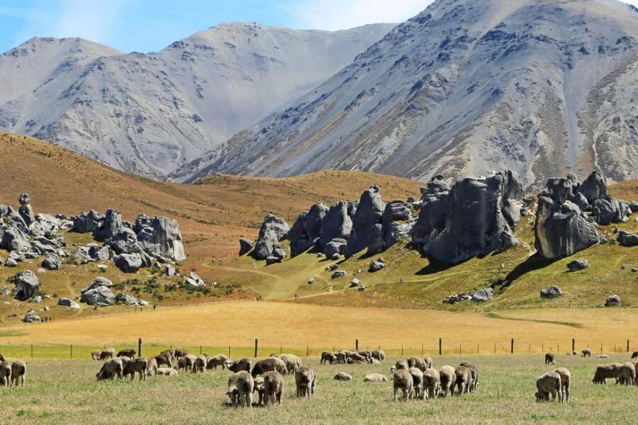 Lyttelton: Shore Excursion, Castle Hill & Inland Canterbury - What’s Included and Practicalities