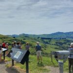 Lyttelton Shore Excursion: Twin Harbour Tour (Lyttelton & Akaroa) - Whats Included & What to Expect