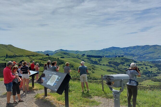 Lyttelton Shore Excursion: Twin Harbour Tour (Lyttelton & Akaroa) - Whats Included & What to Expect