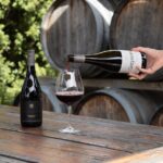 Lyttelton Shore Excursion: Waipara Valley Wine Tour with Lunch - Who Would Enjoy This Tour?