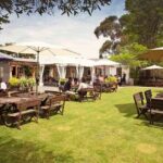 Lyttelton Shore Excursion - Waipara Wine Tour With Lunch - Who Should Book This Tour?