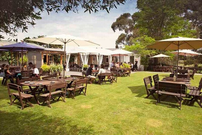 Lyttelton Shore Excursion - Waipara Wine Tour With Lunch - Who Should Book This Tour?