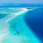 Maafushi: Nurse Sharks, Stingrays, Sand Bank and Dolphins - Practical Tips for Participants