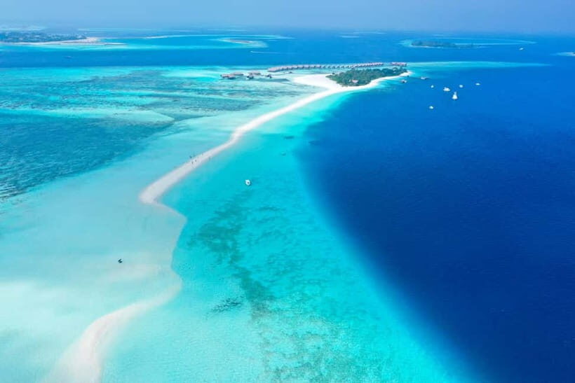 Maafushi: Nurse Sharks, Stingrays, Sand Bank and Dolphins - Practical Tips for Participants