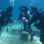 Mactan: PADI Open Water Diver Certification Course - What Makes the Mactan Dive Certification Special?