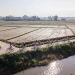 Mad Monkey Hoi An: Bicycle Tour - Highlights of the Tour