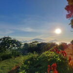 Magelang: Silancur Highland Sunrise & Sukomakmur Tour - Who Will Love This Tour?