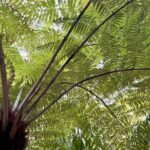Magical Rotorua Private Tour with Spa Experience from Auckland - The Practical Details