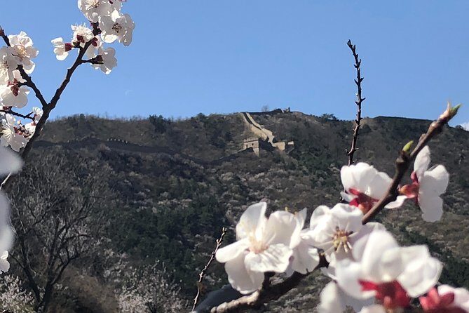 Magnificent Private Full Day Tour to Mutianyu Great Wall - What Travelers Say