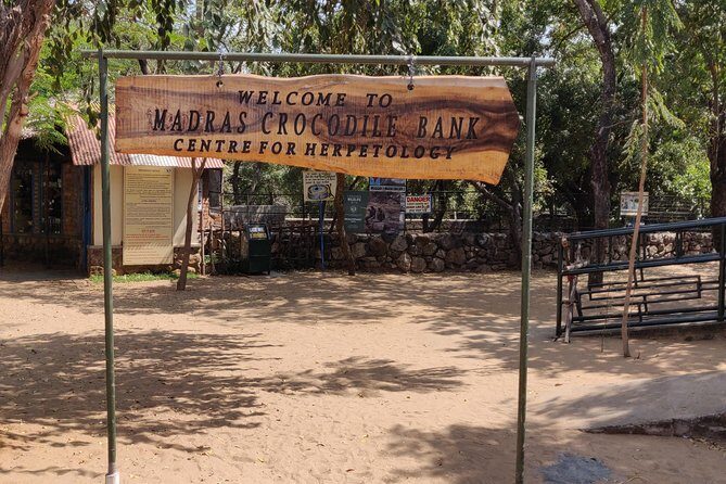 Mahabalipuram and Madras Crocodile bank trip from Chennai wtih Lunch,Transport - Who Should Consider This Tour?