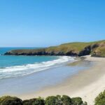 Mainland Peninsula Tour - What the Experience Feels Like