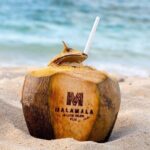 Malamala Beach Club - Half Day Pass - The Value Proposition