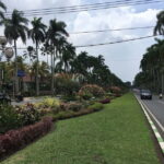 MALANG CUSTOMIZED TOURS WITH CAR DRIVER - Deep Dive into the Itinerary and Highlights