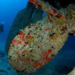 Maldives: Victory Shipwreck Scuba Dive - What to Expect During the Dive